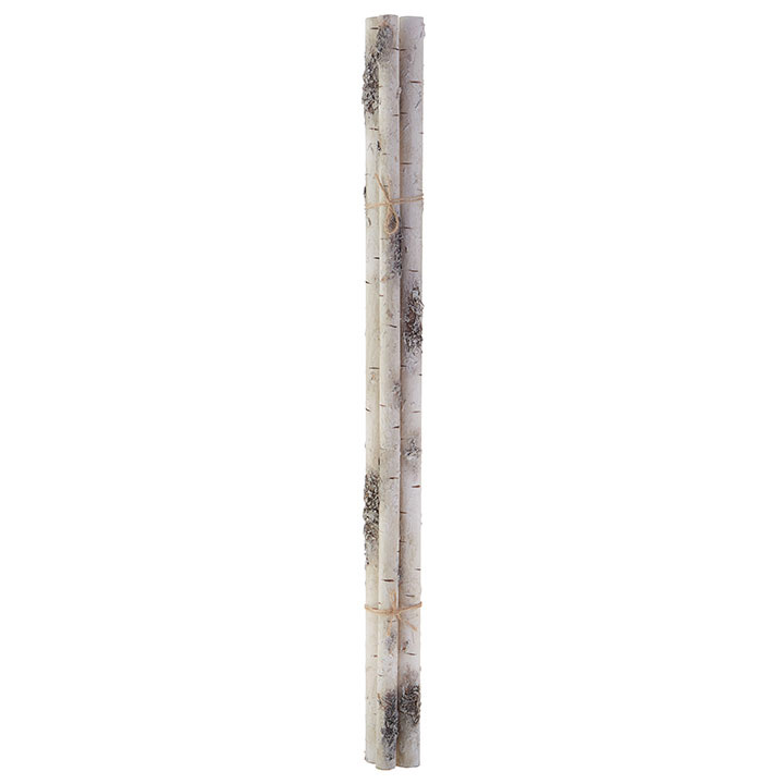 Birch Sticks Bundle of 3 - 30 Inch Tall