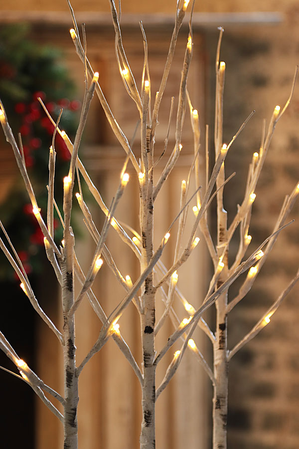 2 Foot Electric Birch Grove on Base - 28 Inch 56 Warm White LED Lights
