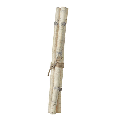 Birch Stick Bundle of 3 - 26 Inch Tall