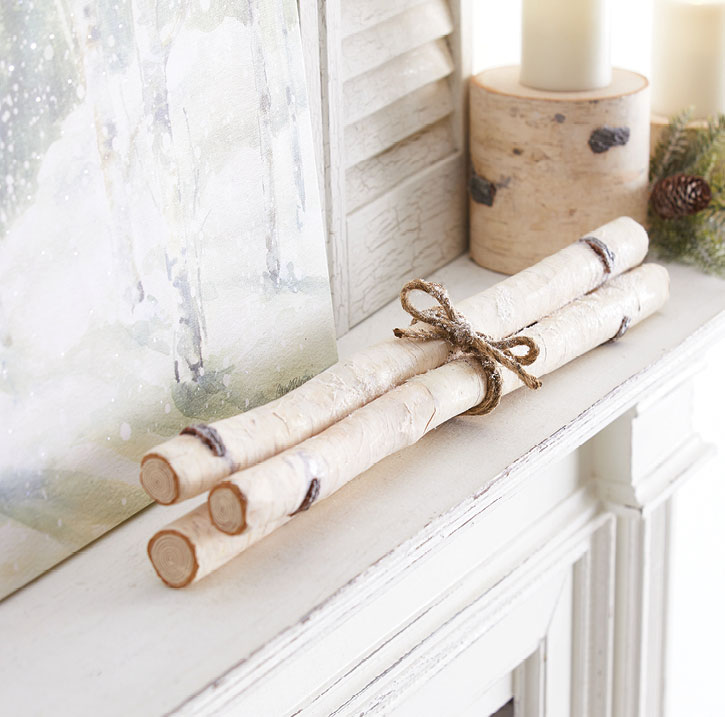 Birch Stick Bundle of 3 - 26 Inch Tall