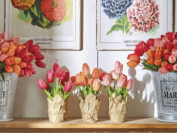 Real Touch Potted Tulips Assorted 3 Wrapped in Paper - 10 Inch
