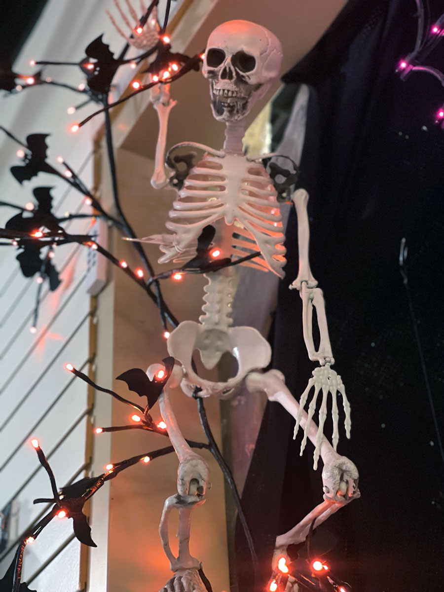 Hanging Halloween Skeleton - 36 Inch