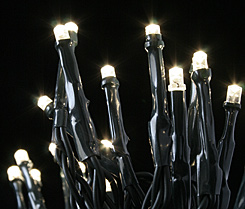 Battery Rice Lights 20 LED Warm White - Black Wire